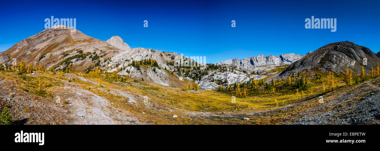 Scenic Landscapes of a high mountain valley and golden Larch Trees ...