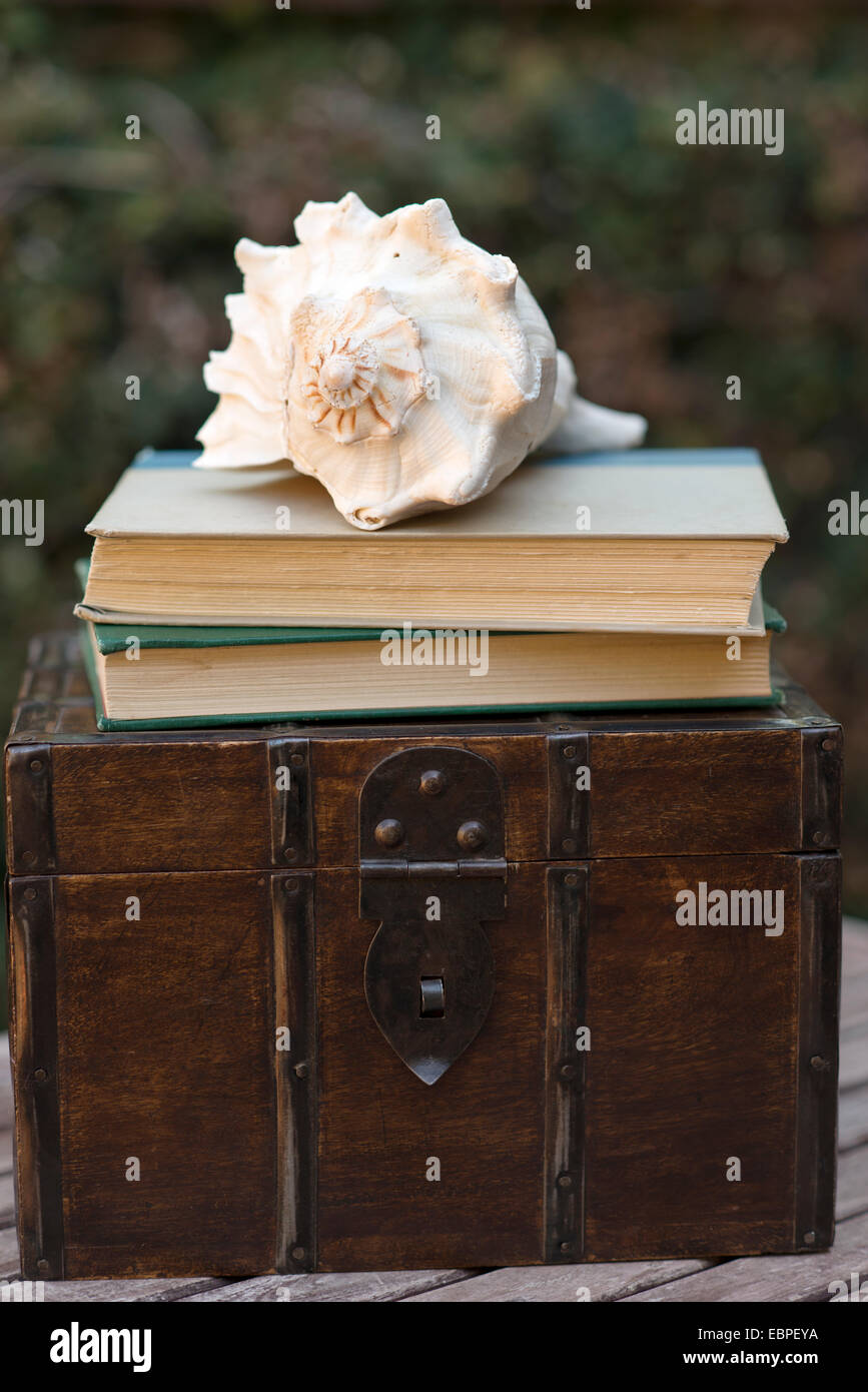 Conch shell seashell spiral hi-res stock photography and images - Alamy