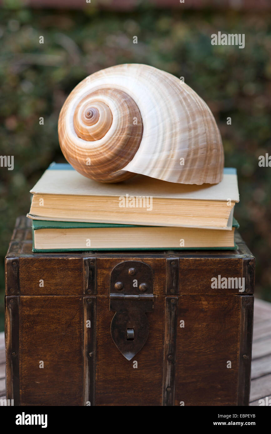 Still life of melon shell with stack of books on treasure chest Stock ...
