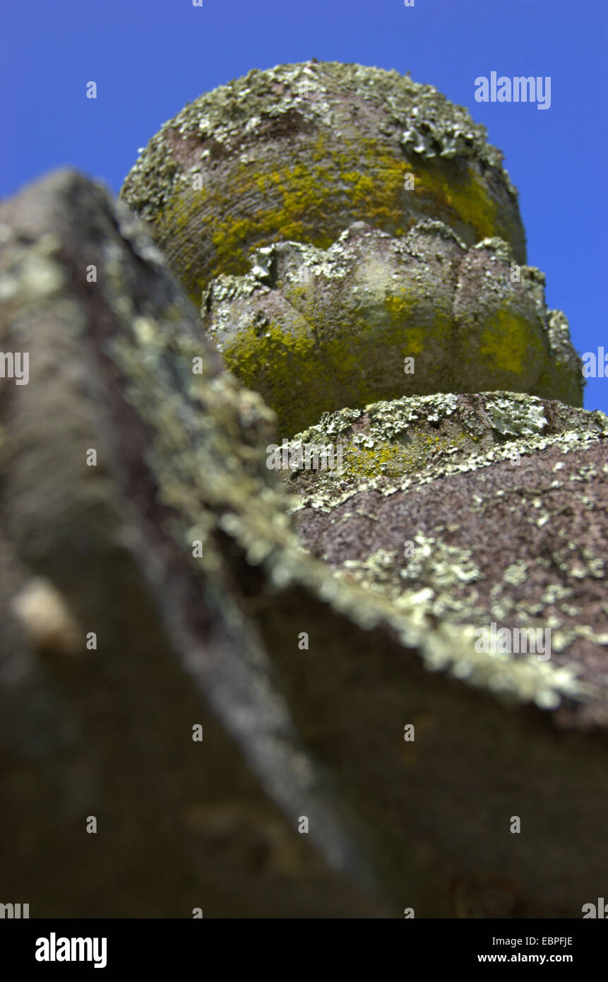 Moss-Covered Stone Statue Stock Photo - Alamy