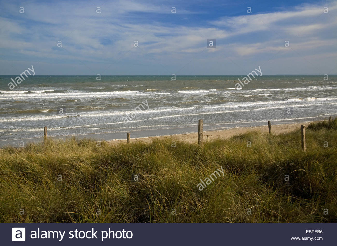 D Day Normandy Invasion Utah Beach High Resolution Stock Photography ...