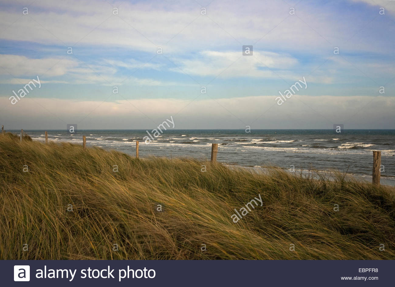 D Day Normandy Invasion Utah Beach High Resolution Stock Photography ...
