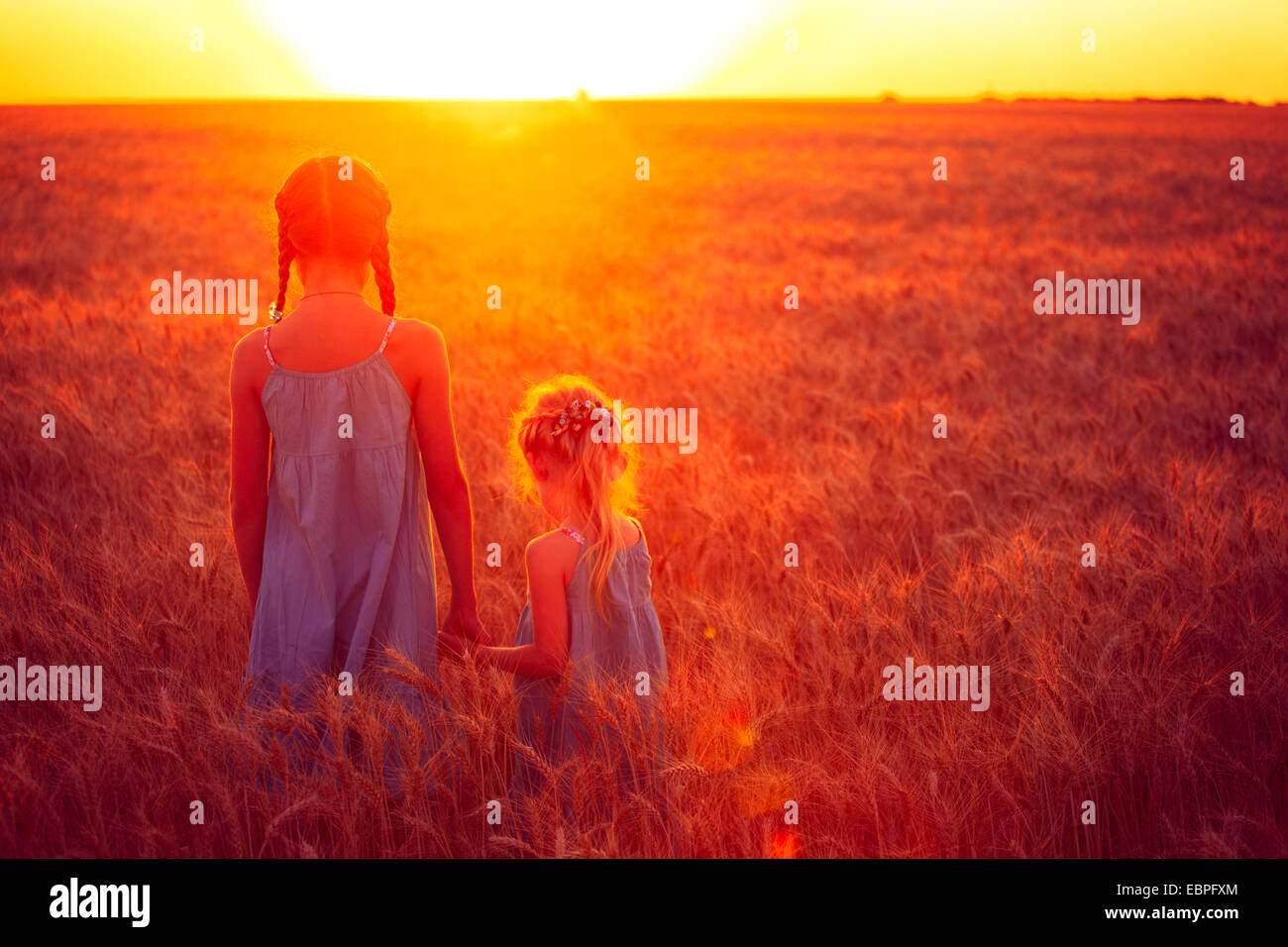 two children girls are looking at the sunset at the wheat field Stock ...
