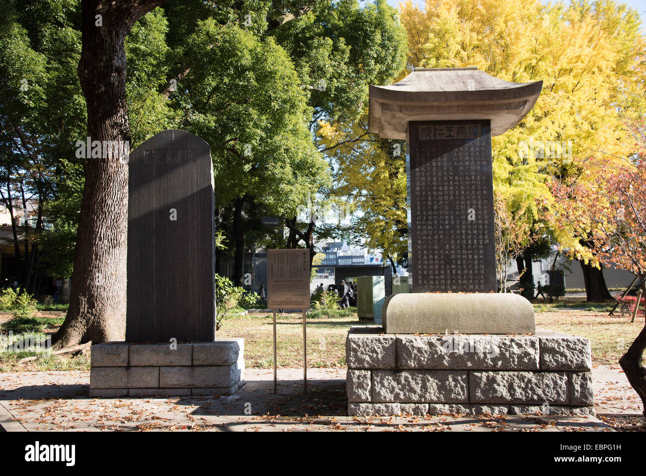 Wani japan hi-res stock photography and images - Alamy