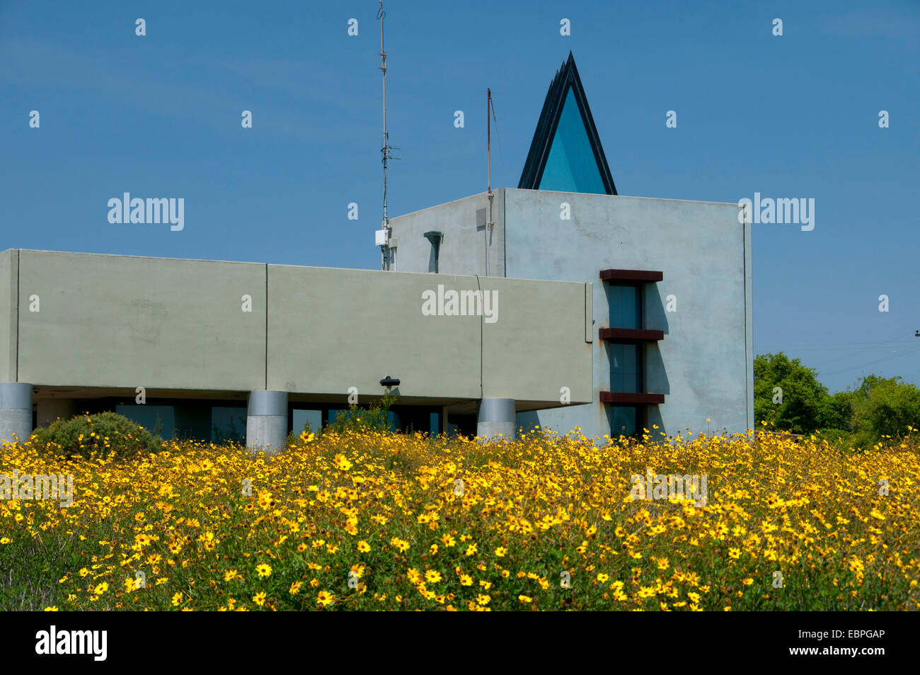 Tijuana slough national wildlife hi-res stock photography and images ...