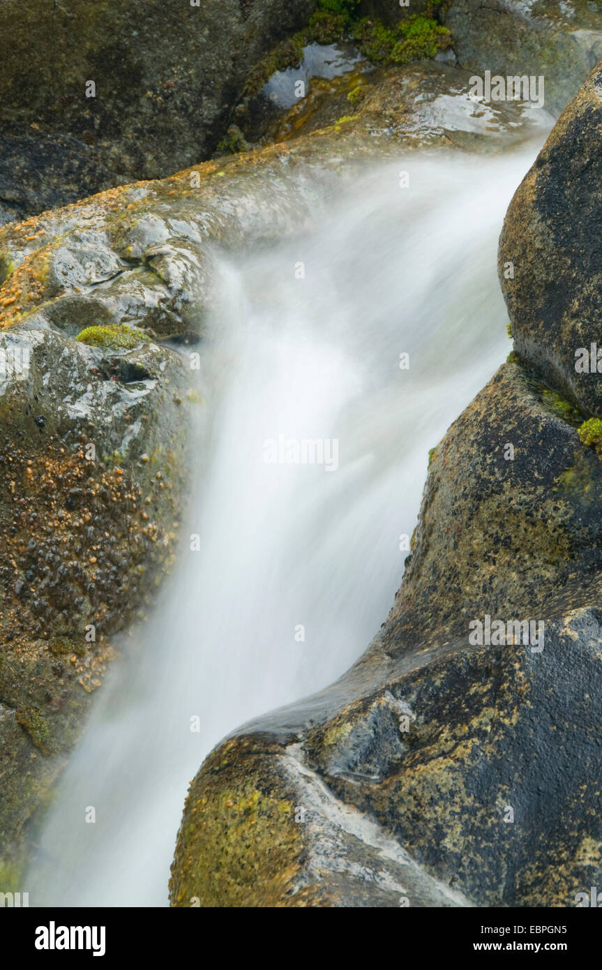 Stony Creek at confluence with North Fork Smith River, Smith River ...