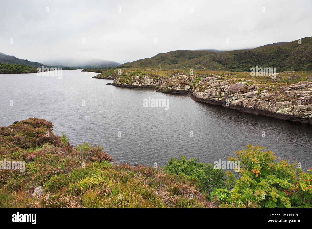 Upper Lake in Killarney National Park Stock Photo - Alamy