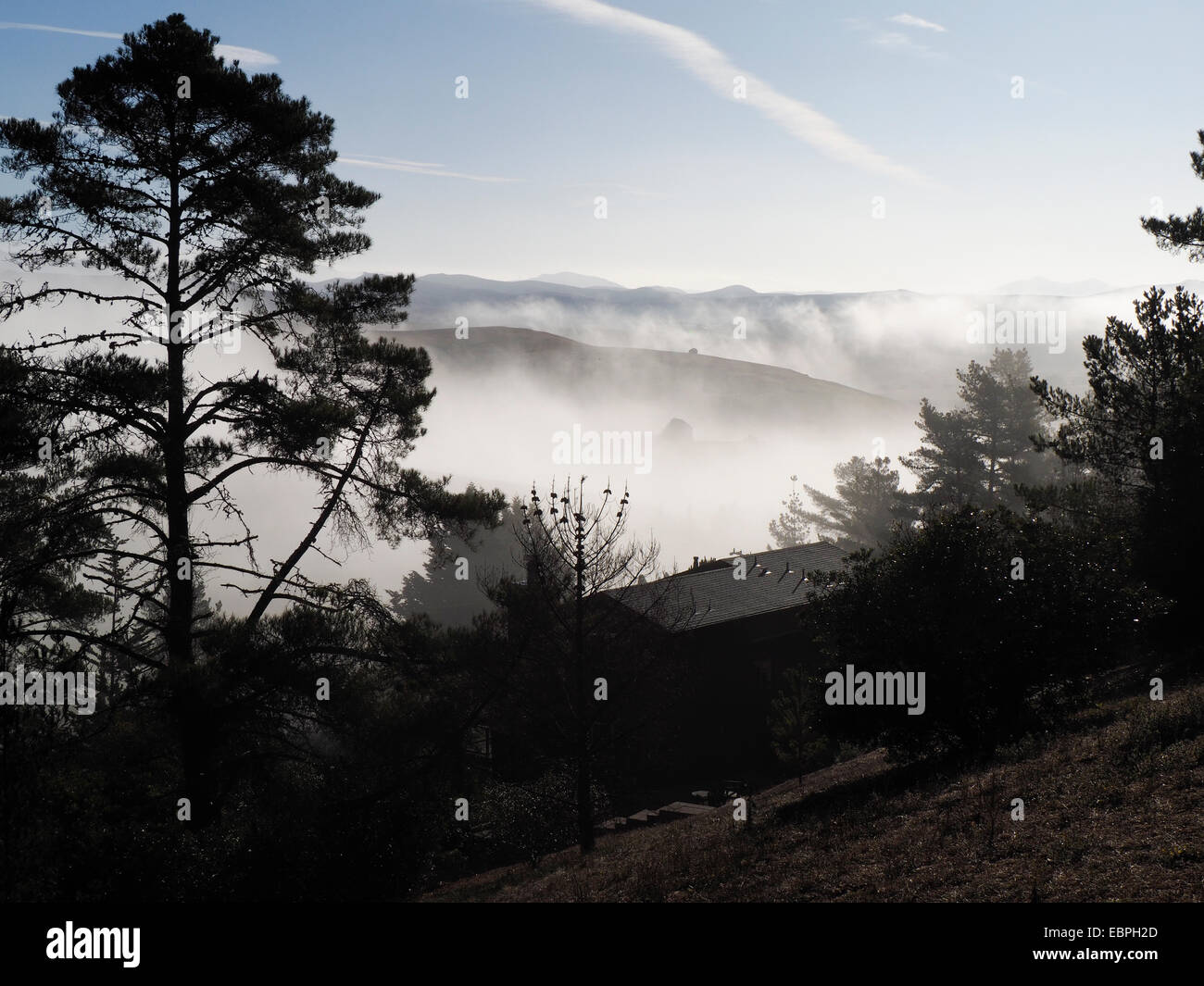 Ground fog hi-res stock photography and images - Alamy