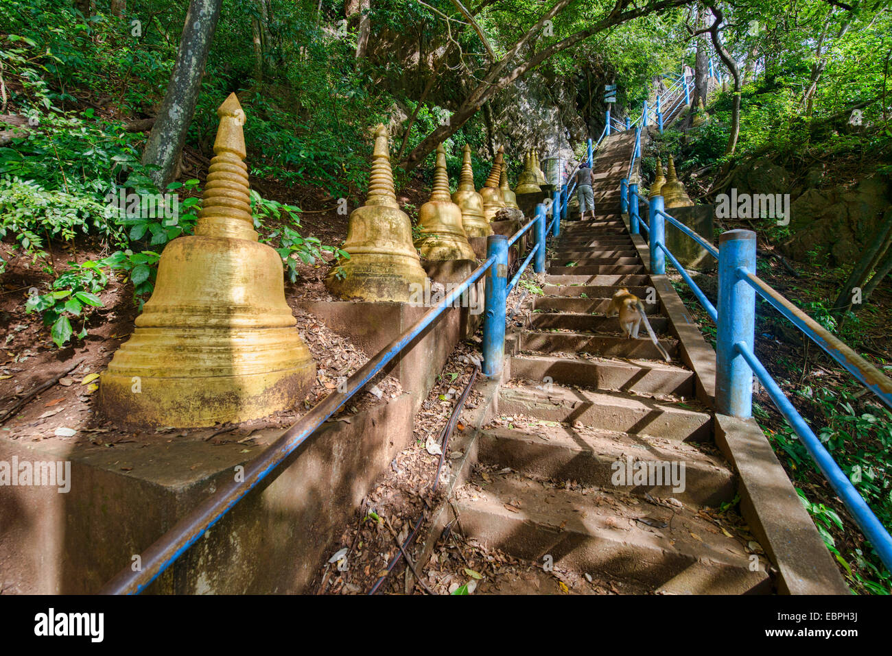 1267 stairs climb up the Wat Tham Sua Tiger Cave Temple in Krabi ...