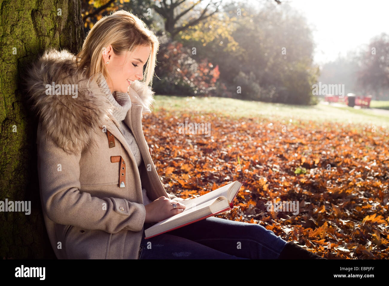 woman reading a book in the park Stock Photo - Alamy