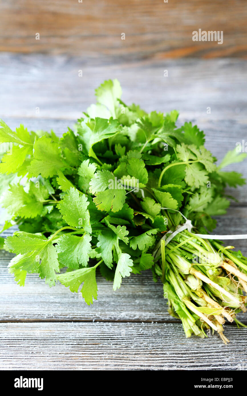 Bunch of fresh cilantro on the boards, healthy food Stock Photo - Alamy