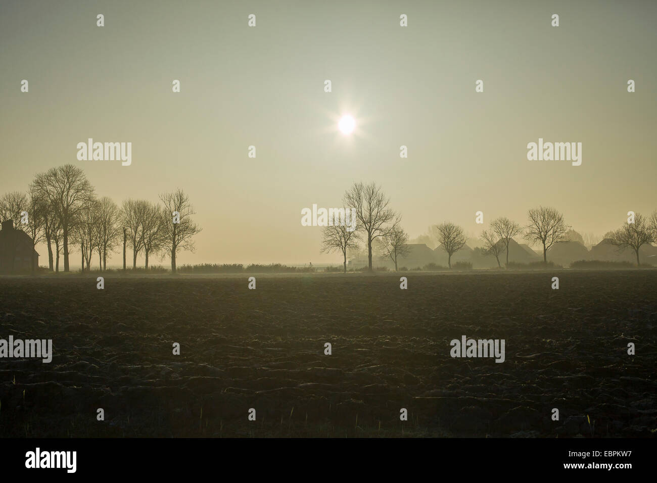 Sun shining through fog Stock Photo - Alamy