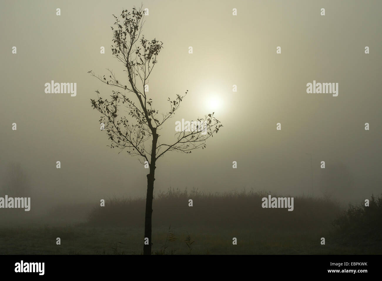 Beauty of rising sun hi-res stock photography and images - Alamy