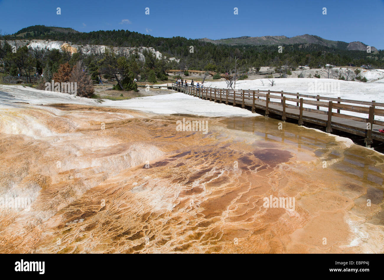 Mammoth Hot Springs, Yellowstone National Park, UNESCO World Heritage ...