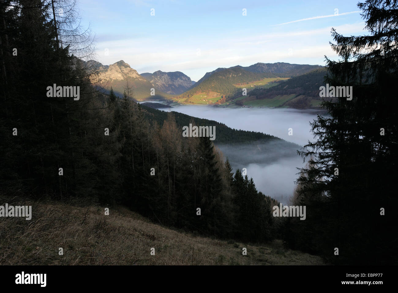 high fog lying in the valley while the sun shines above, Ramsau ...