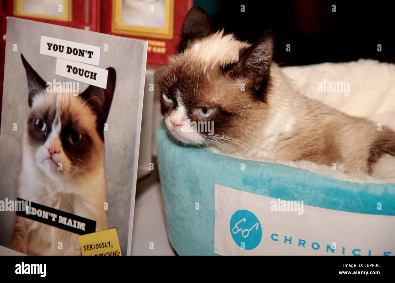 Celebrities attend the 2014 Book Expo America Featuring: Grumpy Cat ...