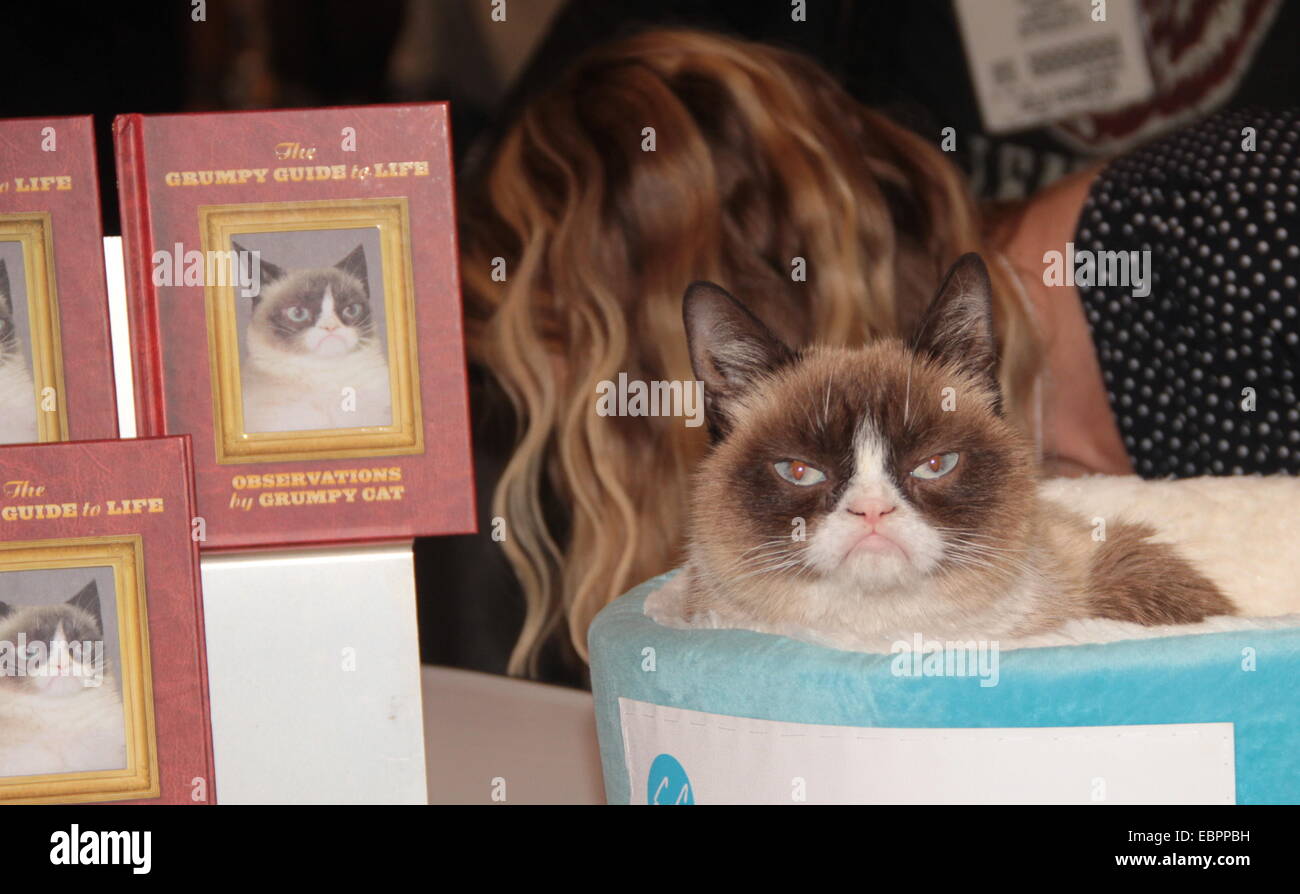 Celebrities attend the 2014 Book Expo America Featuring: Grumpy Cat ...