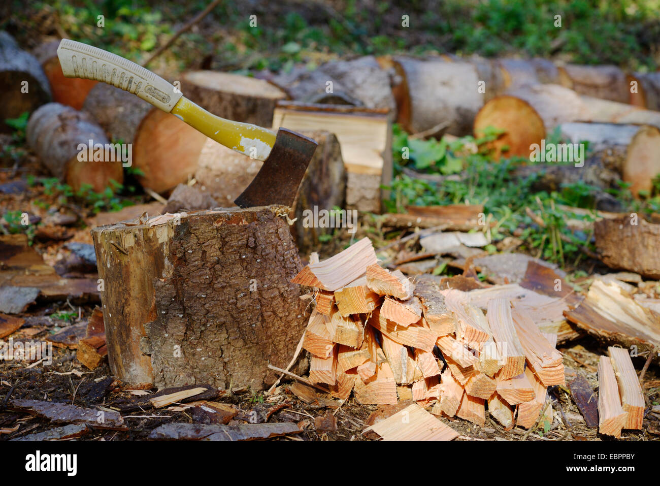 Small axe or hatchet embedded in a wooden log chopping block with a ...