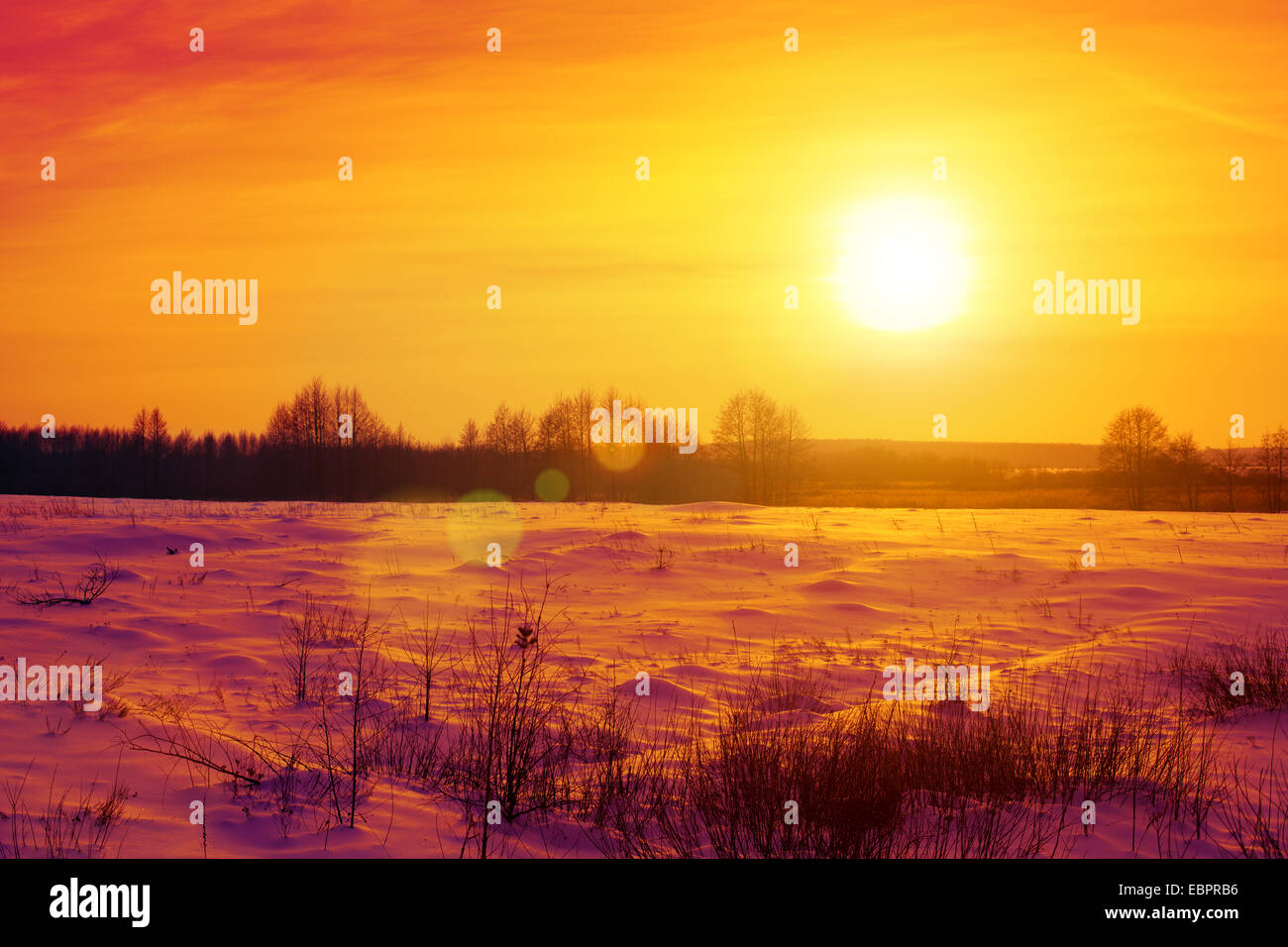 Golden sunset over meadow hi-res stock photography and images - Alamy