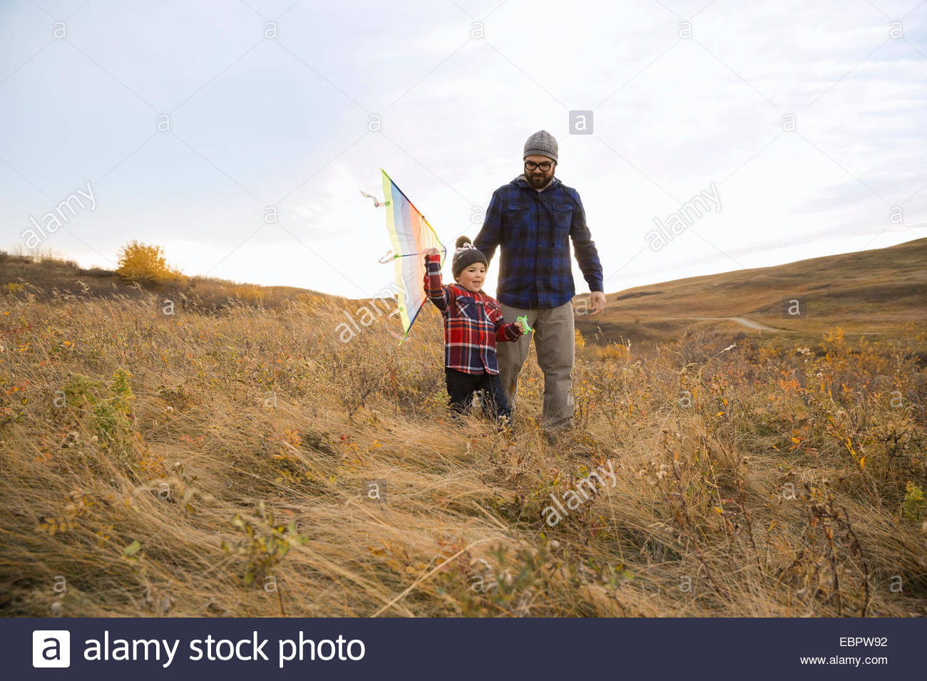Father and son with kite walking in field Stock Photo - Alamy