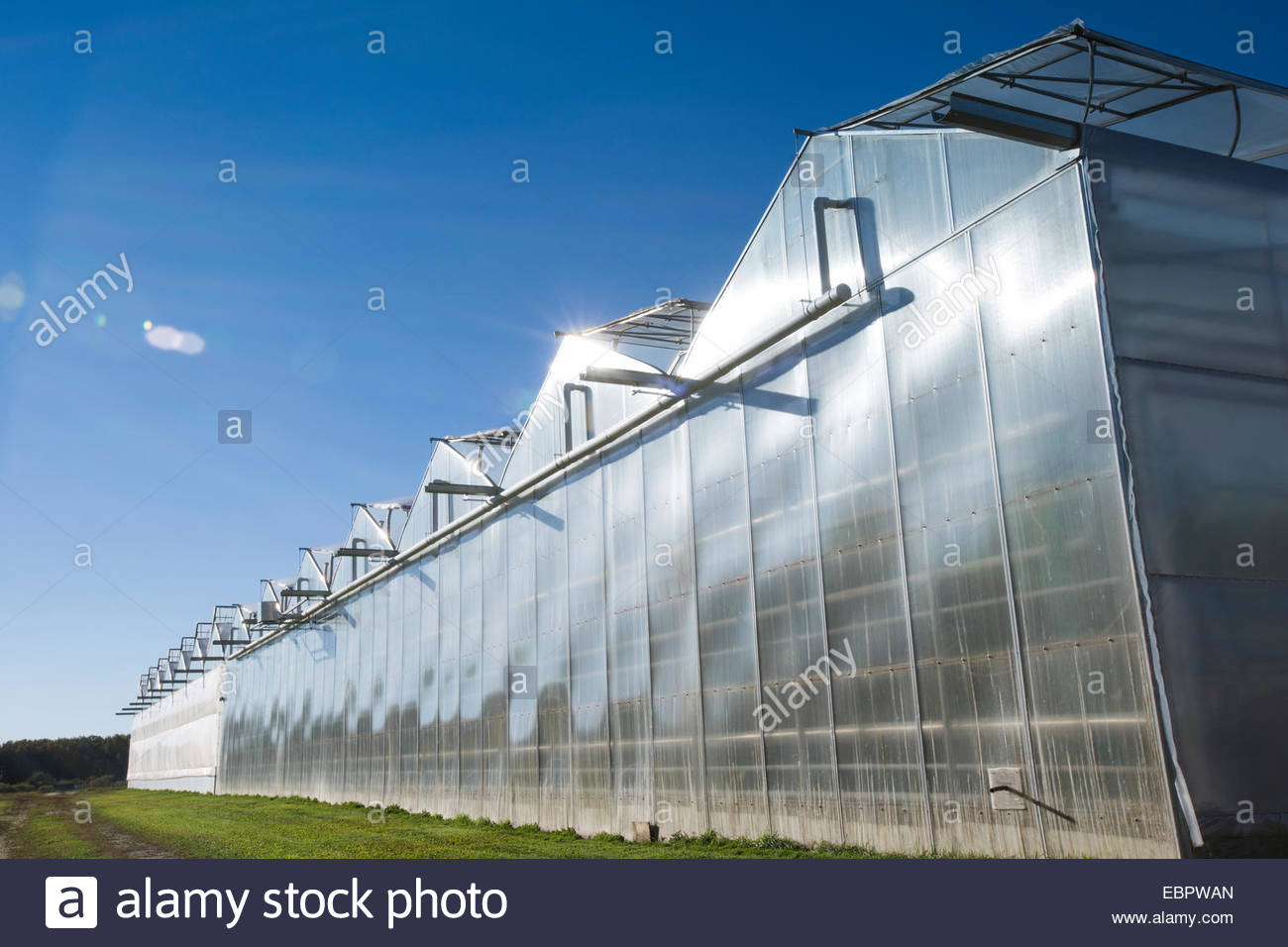 Row of greenhouses hi-res stock photography and images - Alamy