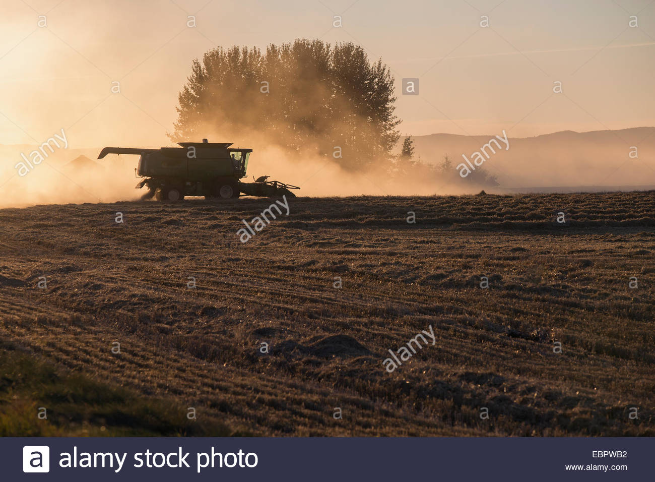 Dusty space cloud hi-res stock photography and images - Alamy