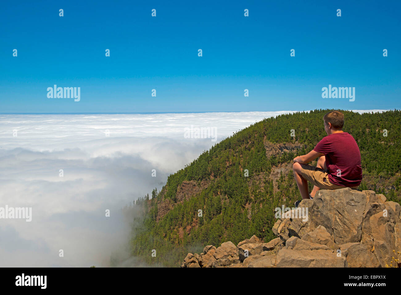 Boy pines hi-res stock photography and images - Alamy