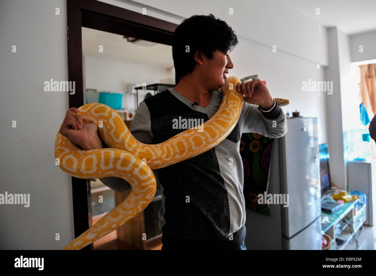 A boy lives with 25 snakes for ten years in Kunming, Yunnan, China on ...