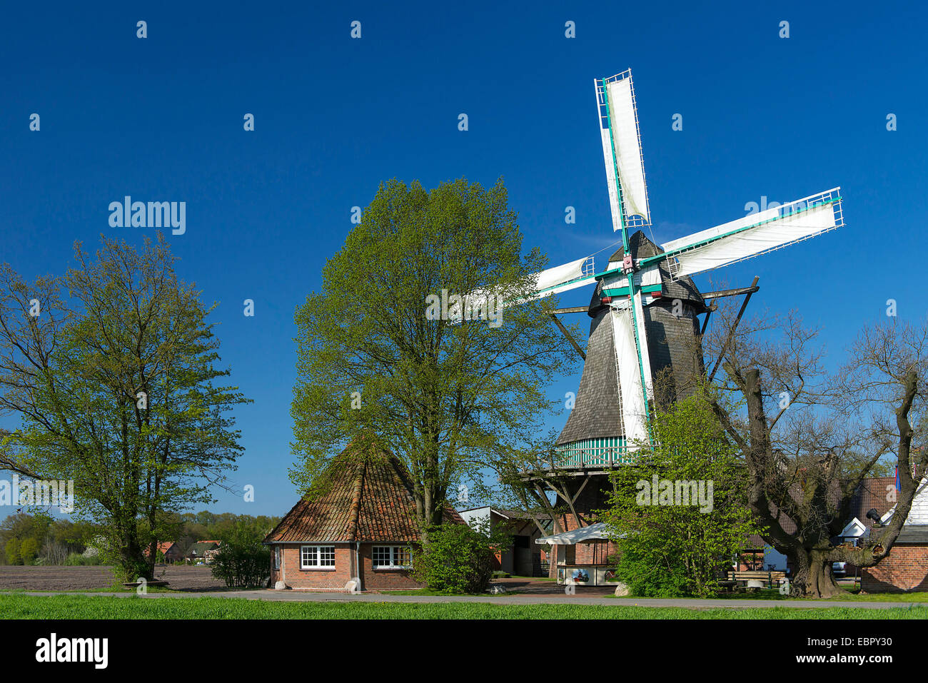 Schweger windmill, Germany, Lower Saxony, Oldenburger Muensterland ...