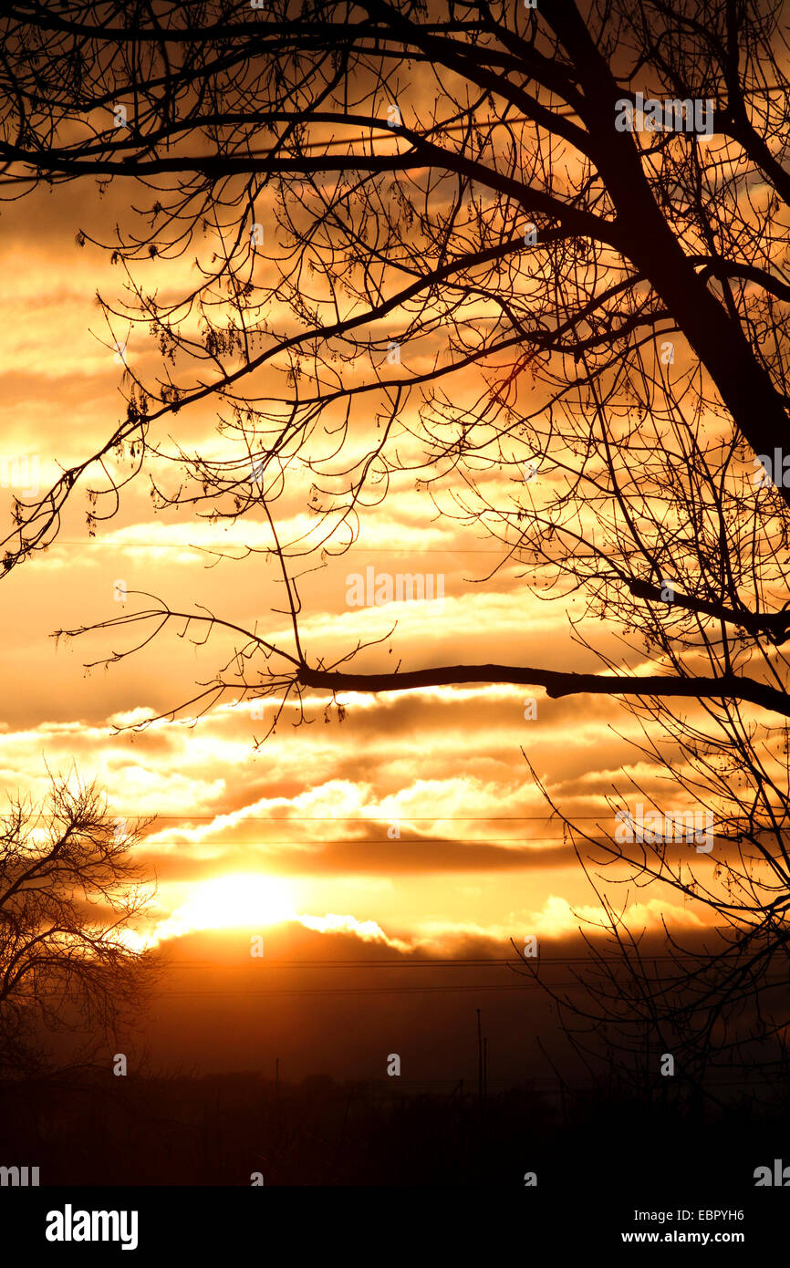 Scattered Photos High Resolution Stock Photography and Images - Alamy