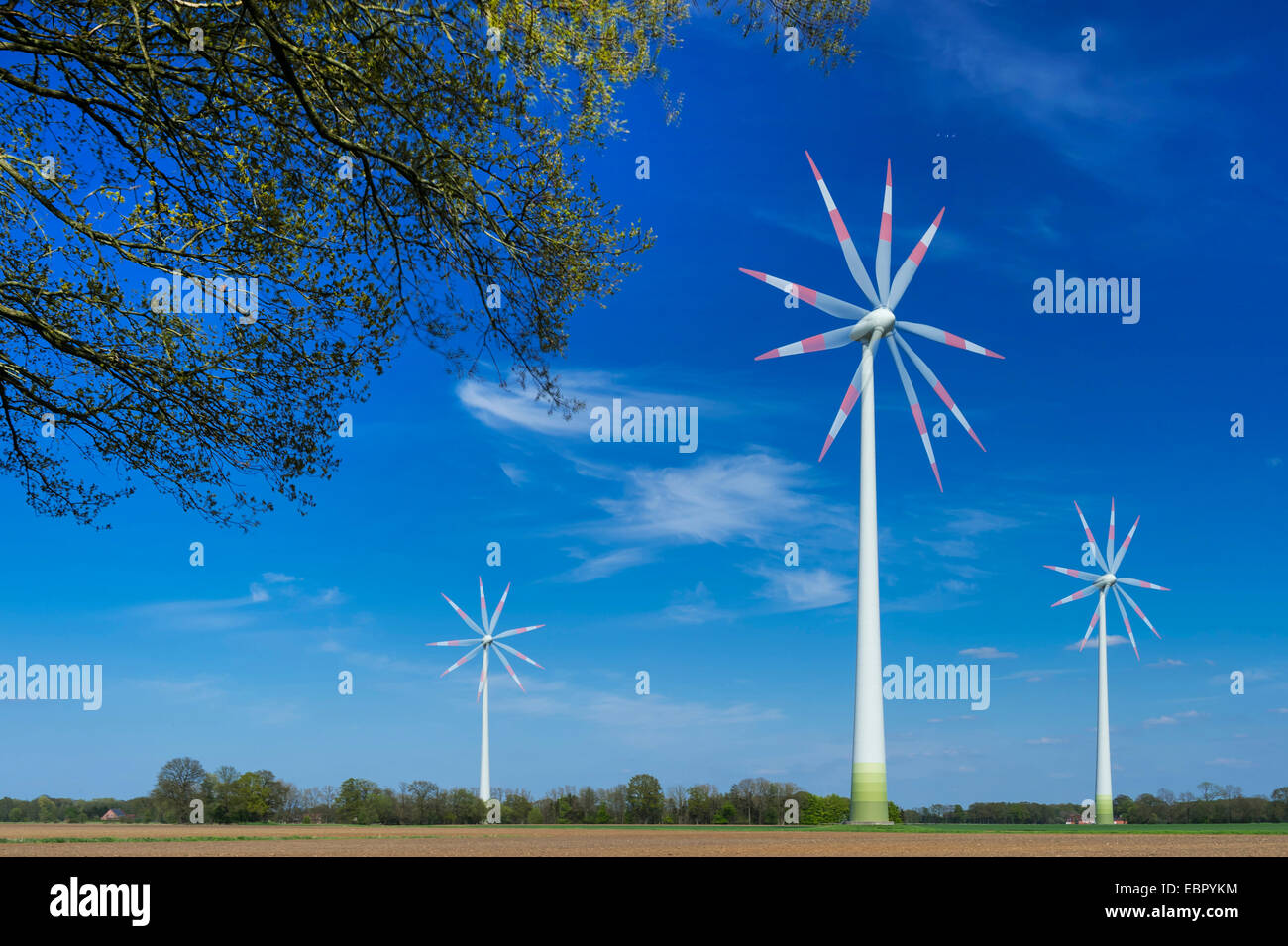 three wind wheels on a field, Germany, Lower Saxony, Oldenburger ...