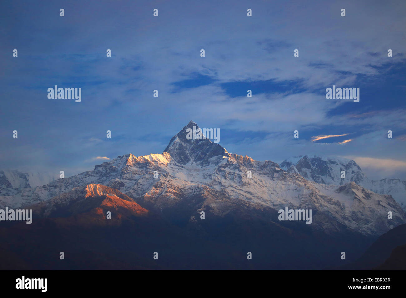 Nepalese fish hi-res stock photography and images - Alamy