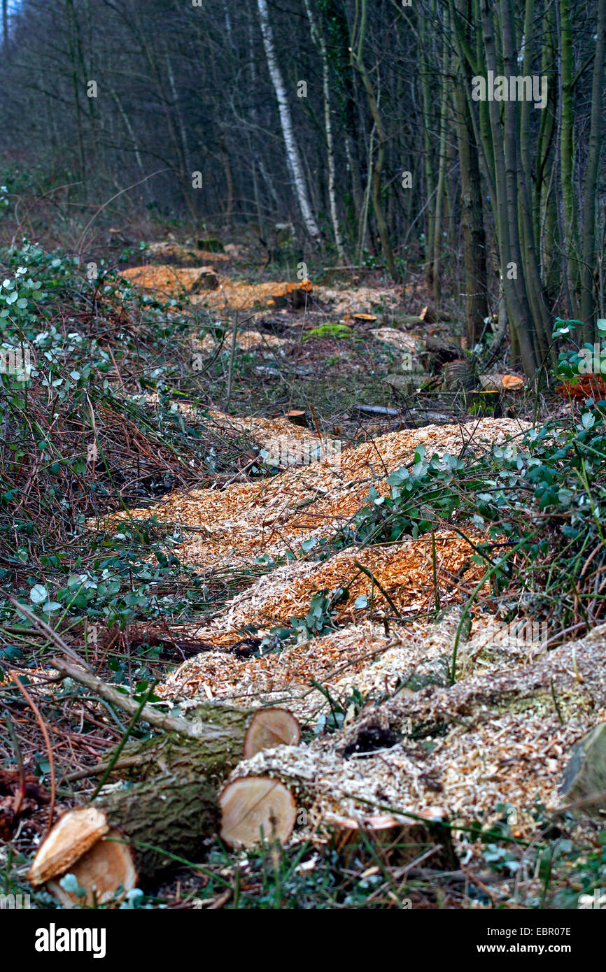 German vegetation hi-res stock photography and images - Alamy