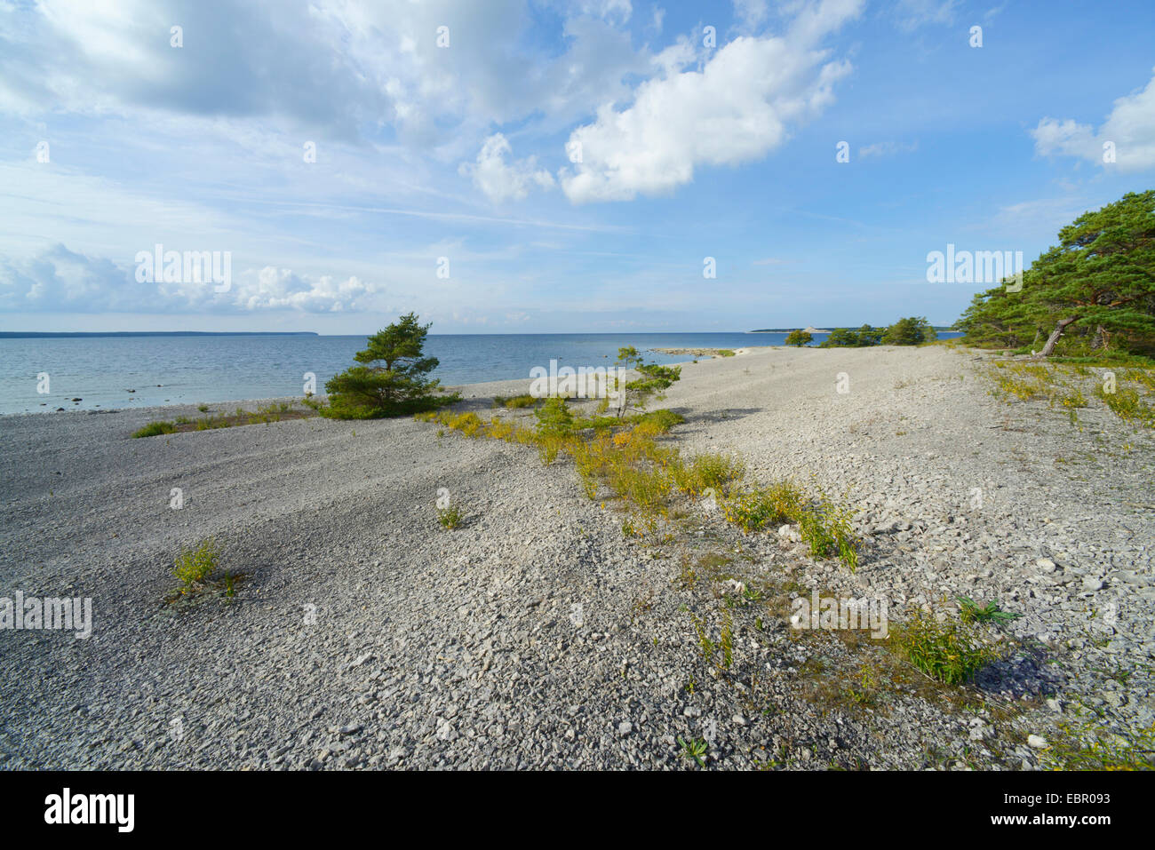 Pebble beach of gotland hi-res stock photography and images - Alamy