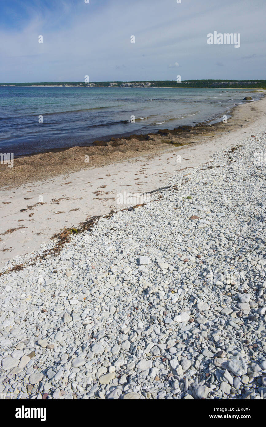 Pebble Beach Of Gotland High Resolution Stock Photography and Images ...