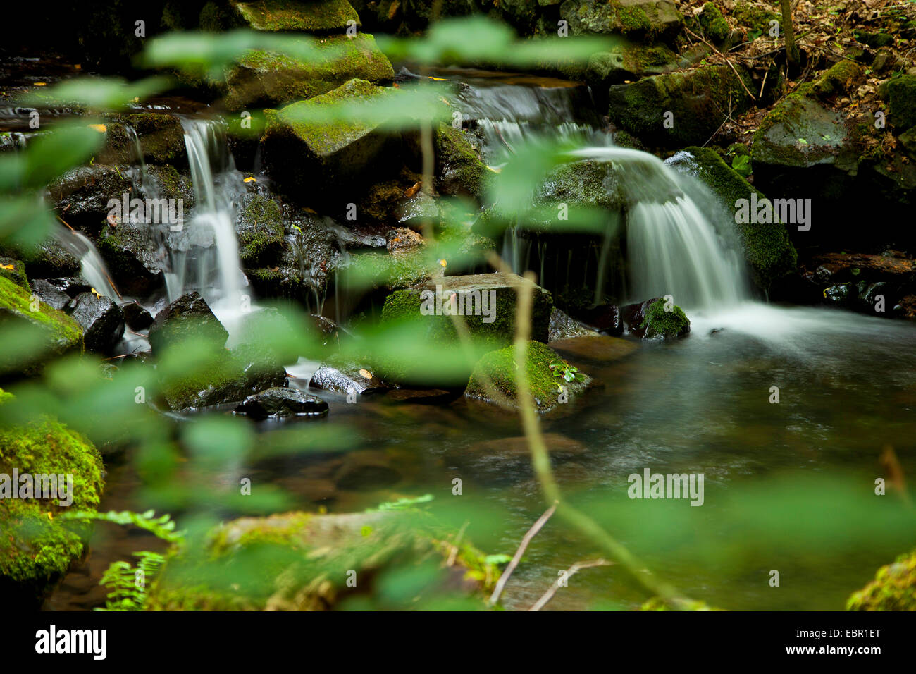 Cascade creeks hi-res stock photography and images - Alamy