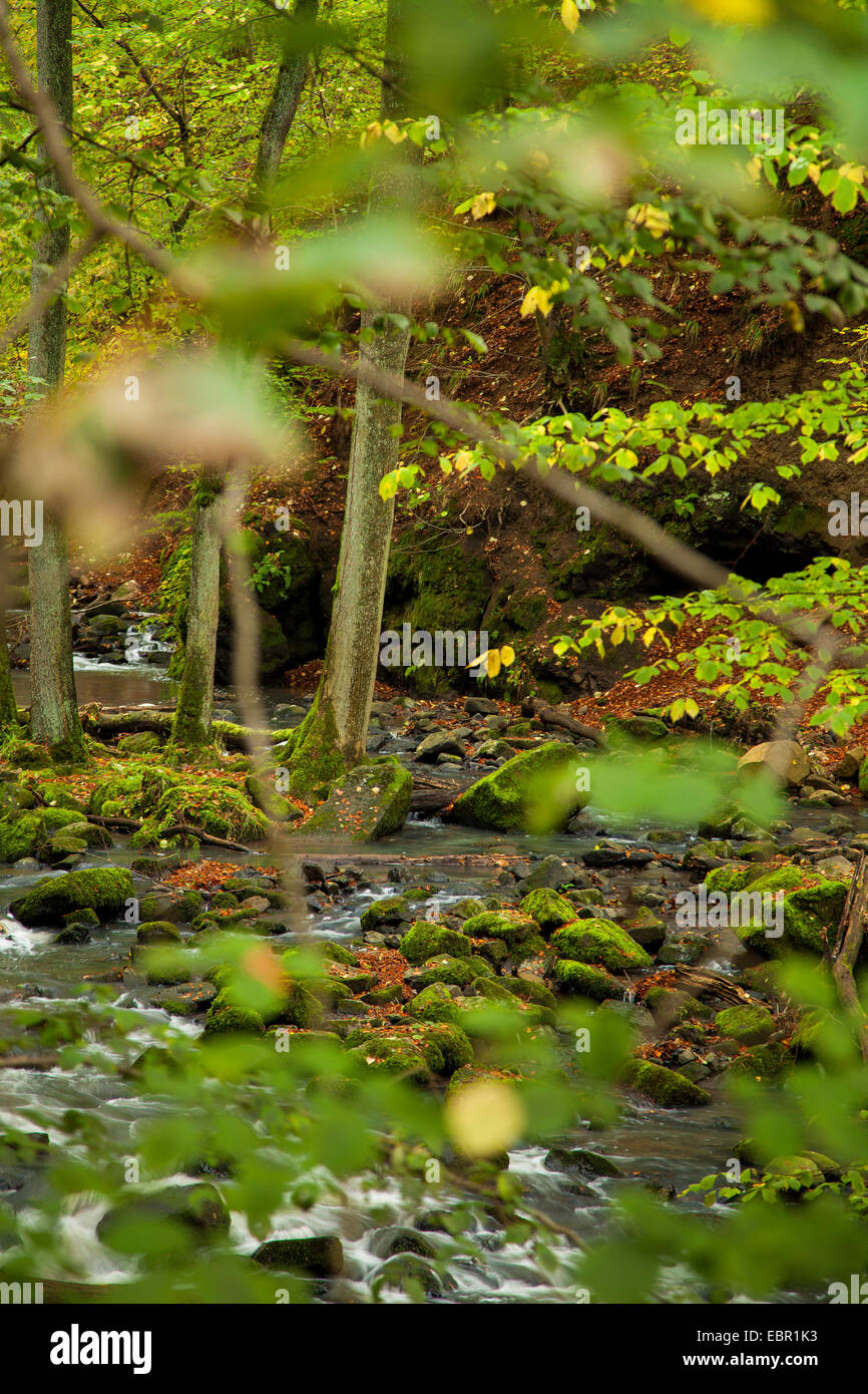 Holzbach hi-res stock photography and images - Alamy