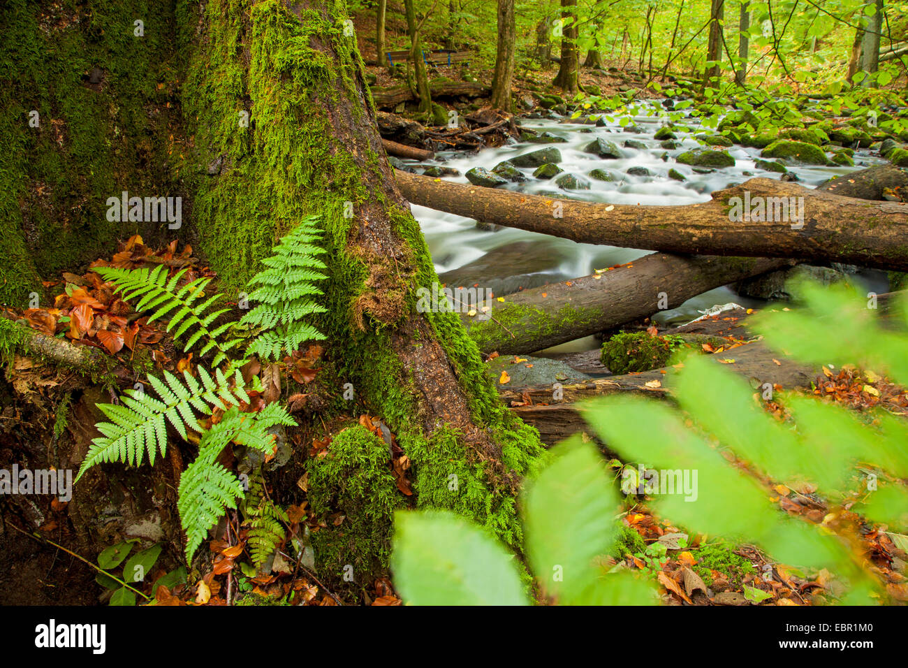 Landscape westerwald rhineland palatinate germany hi-res stock ...