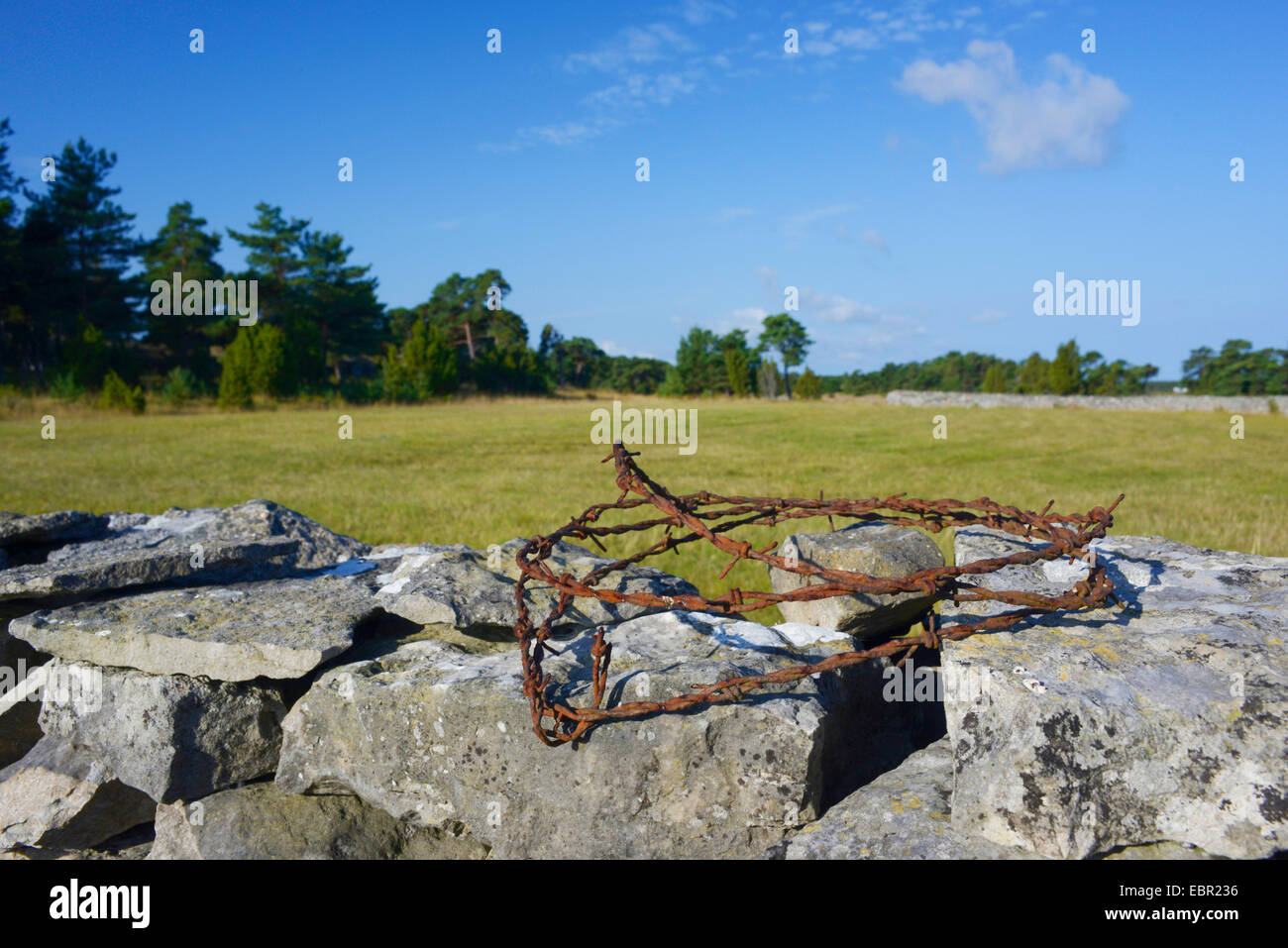 Stone wall and wire fence hi-res stock photography and images - Alamy
