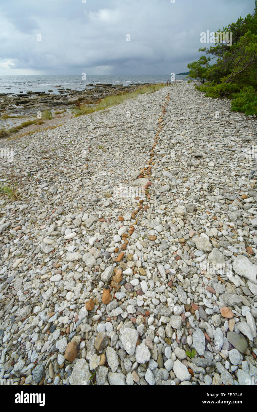 Pebble beach of gotland hi-res stock photography and images - Alamy