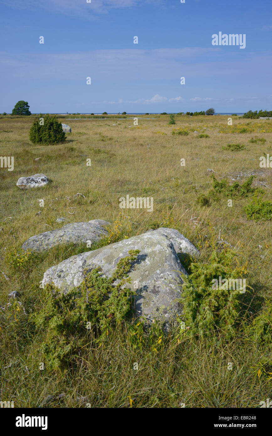 Juniper island hi-res stock photography and images - Alamy