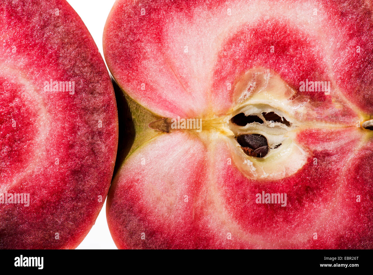 continuous red apple breeding new Stock Photo - Alamy