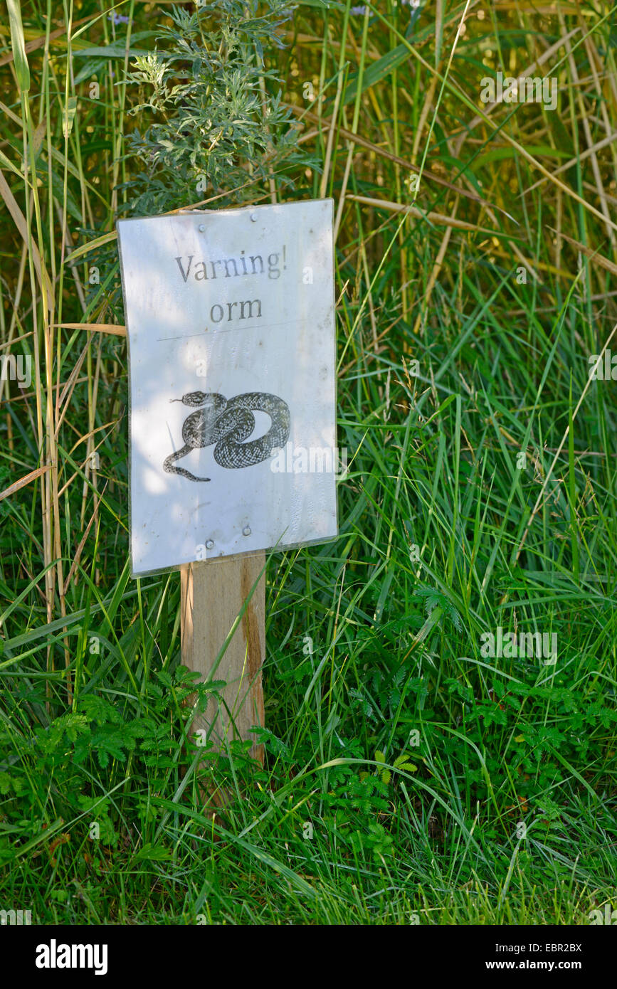 Swedish snakes High Resolution Stock Photography and Images - Alamy