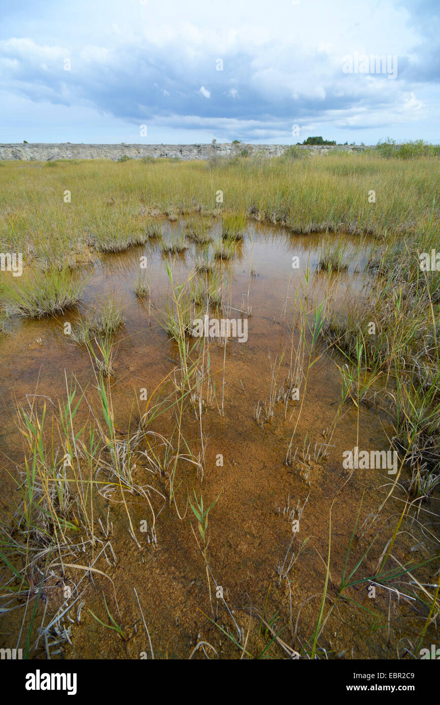 Disused quarry pit hi-res stock photography and images - Alamy