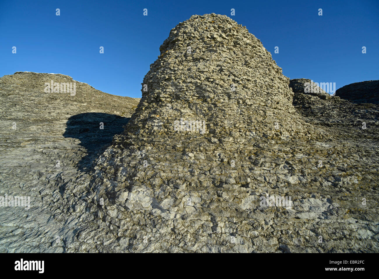 Shell limestone hi-res stock photography and images - Alamy