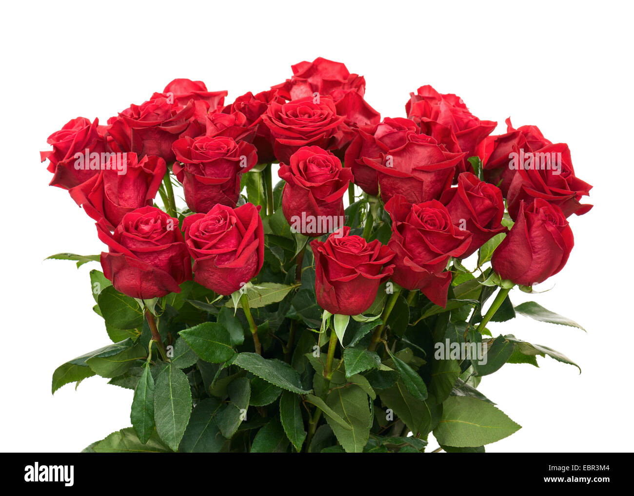 Colorful Flower Bouquet from Red Roses Arrangement Centerpiece Isolated ...