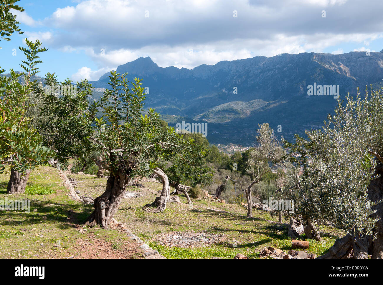 Mountain hiking in mallorca hi-res stock photography and images - Alamy