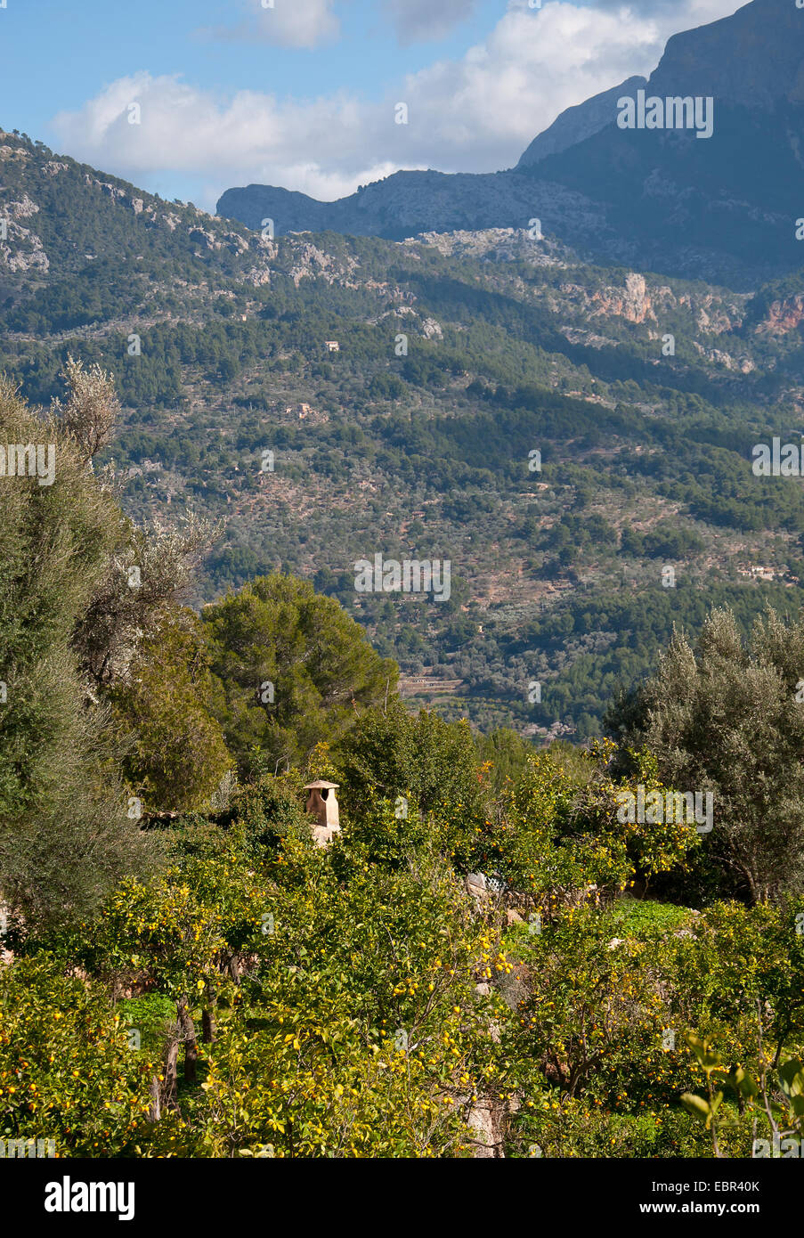 Landscape mallorca hi-res stock photography and images - Alamy