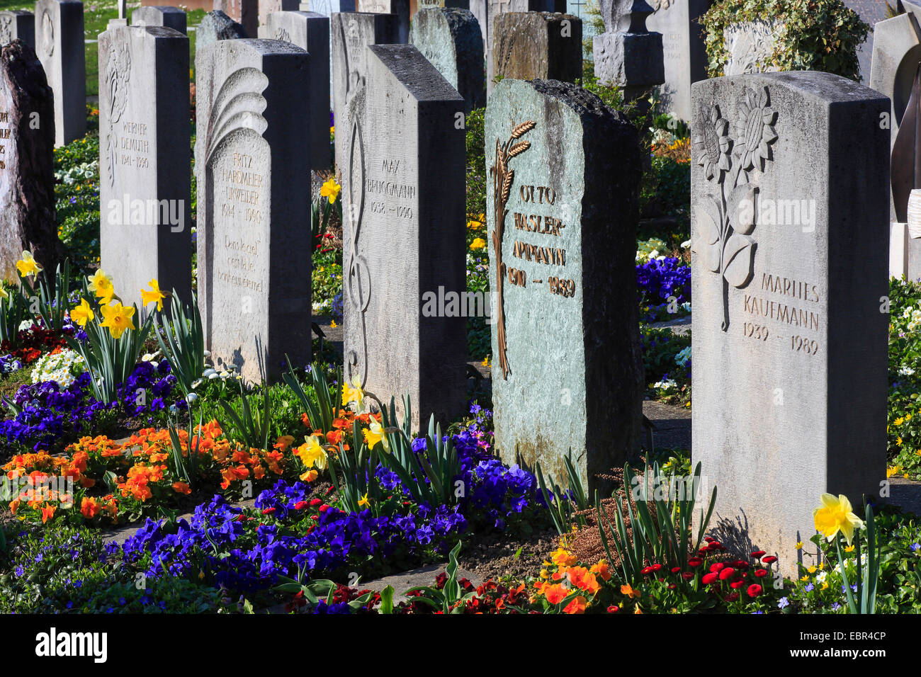 Gravestones and spring flowers hi-res stock photography and images - Alamy
