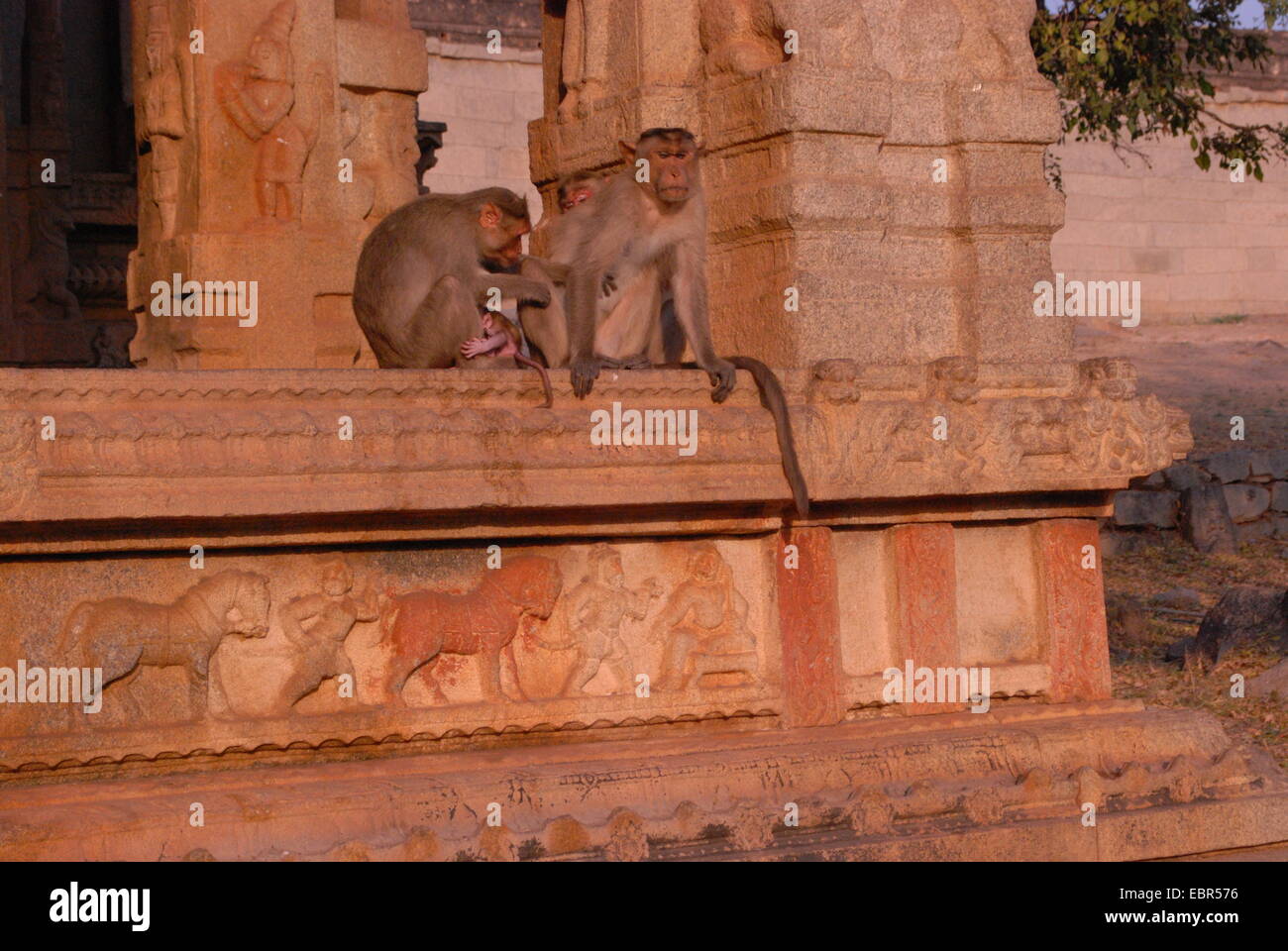 Relief of a hindu temple hi-res stock photography and images - Alamy